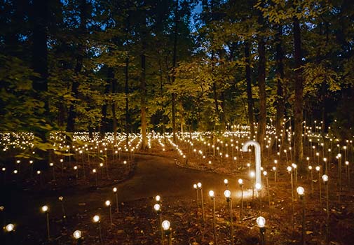 Rafael Lozano-Hemmer - Pulse Forest